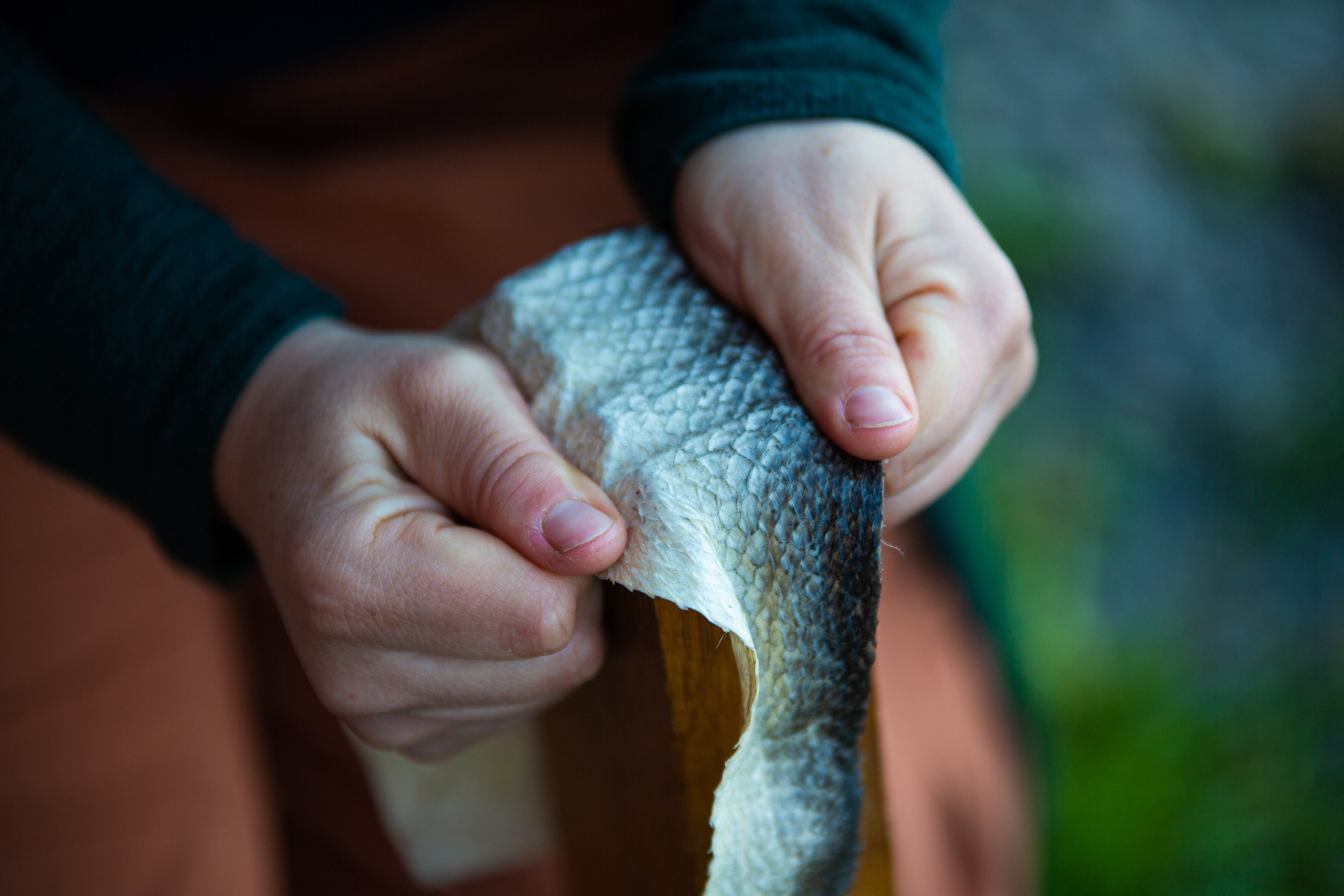 Unveiling Fish Leather: From Ancient Tradition to Modern Innovation ...